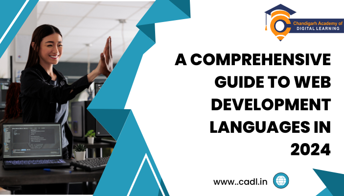 A Comprehensive Guide to Web Development Languages in 2024 | by CADL ...