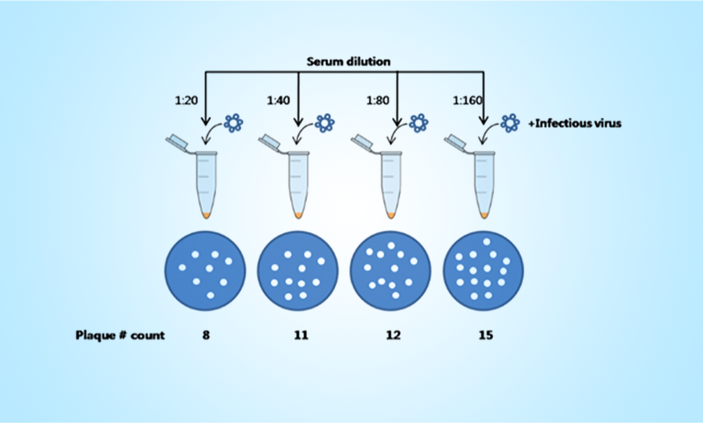 Advancements in Large Molecule Bioanalysis: Techniques and Applications ...