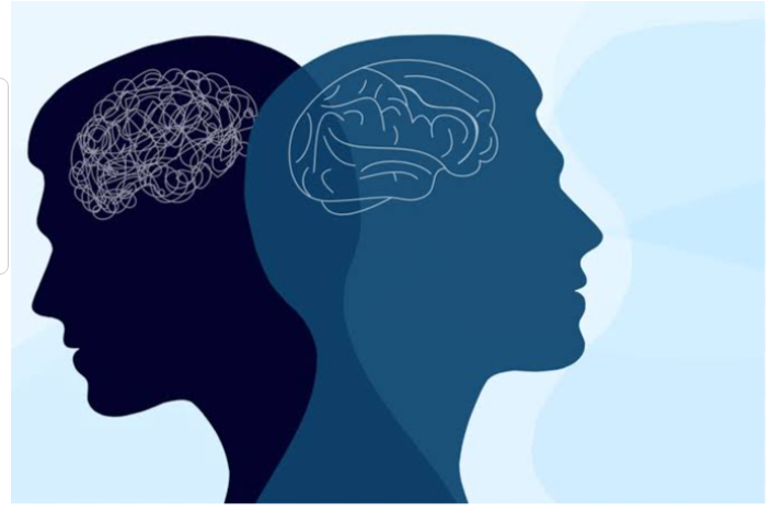 06.History’s Psychology. Brain science is a captivating field… | by ...