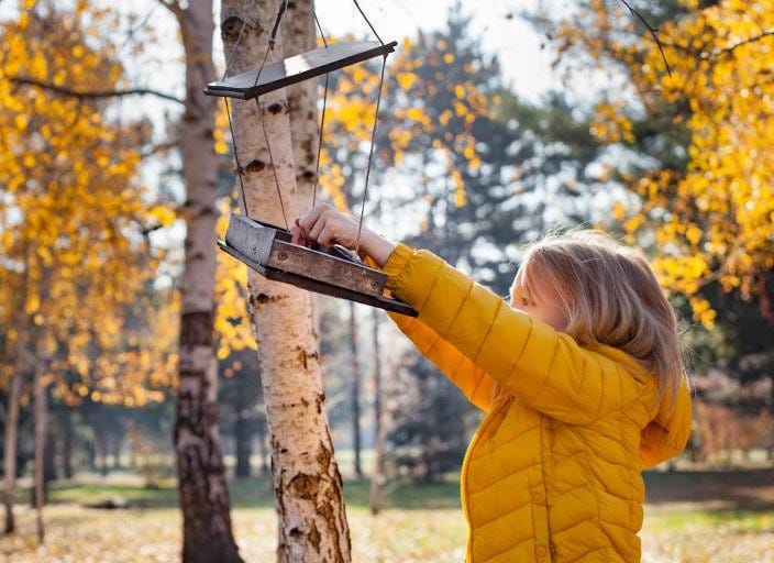 How to Choose the Best Bird Food. Are you the proud proprietor of… | by ...