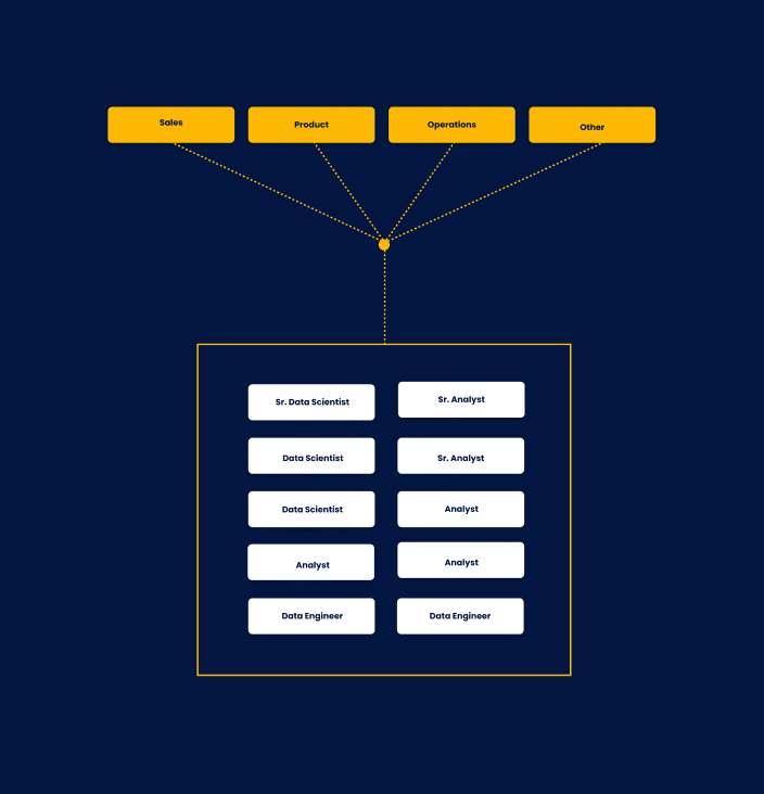 Data Team Structure: Balancing Consistency and Flexibility | by Ivan ...