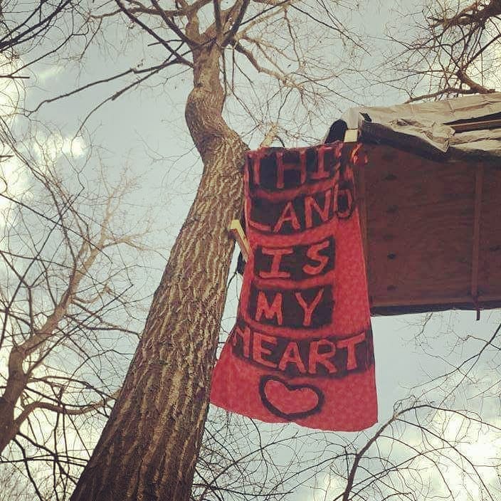 Theresa Red and Minor Terry: Still in their Trees | by Edd Jennings ...