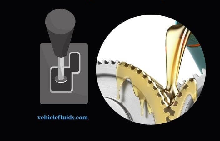 Gear Oil: Why is It Important for Your Car | by Gian Camilo | Medium