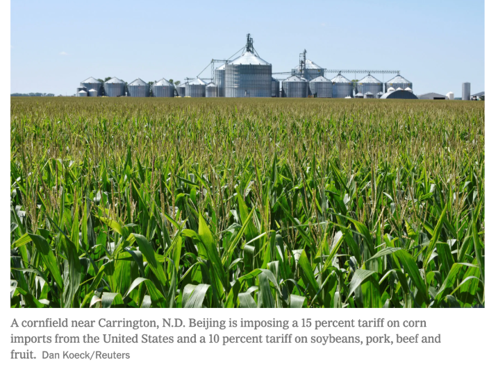How Tariffs Affected the Global Market: A Case Study of Temu | by ...