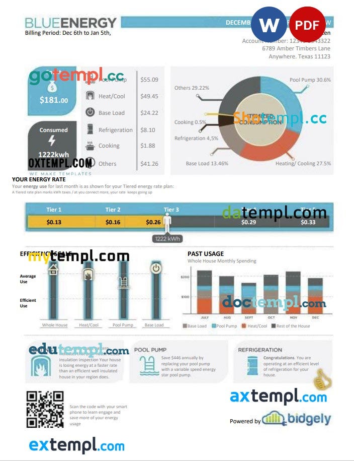 USA Texas Blue Energy utility bill, PDF and Word download template | by ...