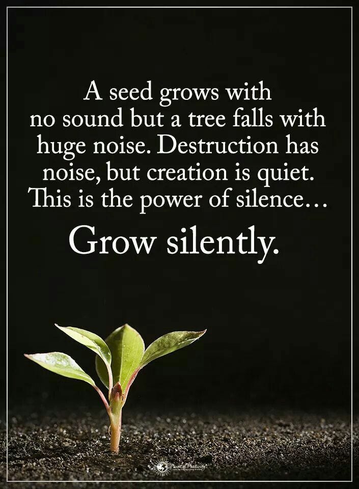 Build in Silence. There is a time for words and then… | by The Dopamine ...