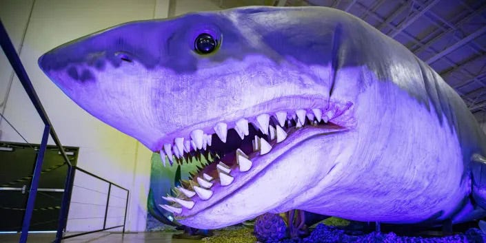 3D modeling of giant megalodon shark reveals clues to the life of the ...