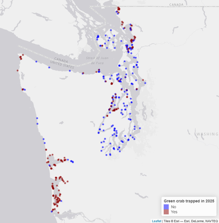 European green crab management: field updates and partner highlights ...