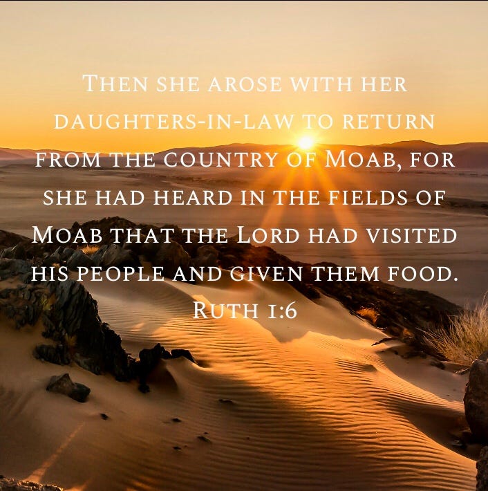 A Poor Widow Returns Home. A study of Ruth 1:6–9 | by Gabriel Mattix ...