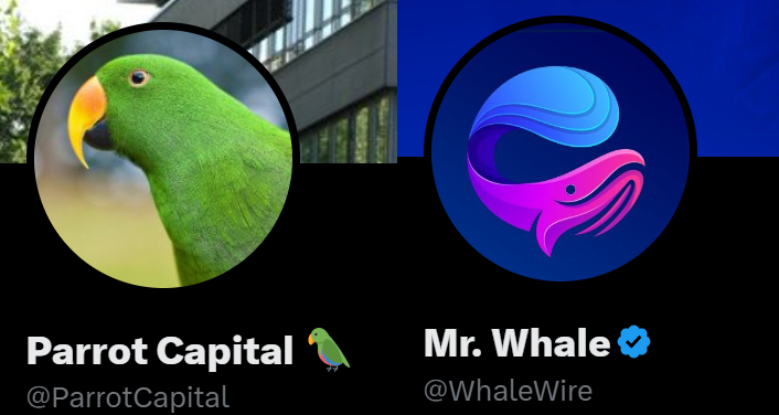 Why I Believe This ParrotCapital Account is a Cryptowhale/Randy Alt ...