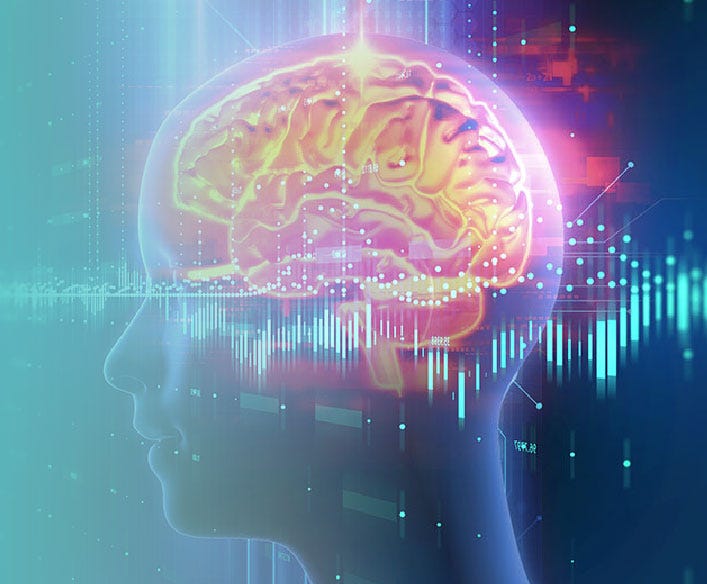 How To Fix Your Brain And Detoxify For Optimal Mental Health | by thedr ...