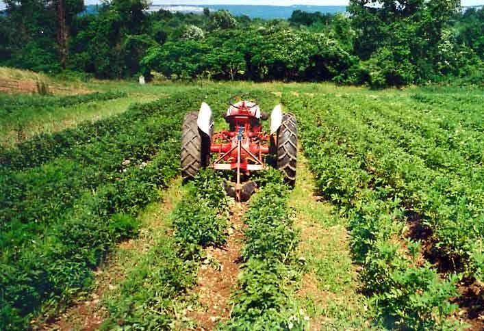 The Growing Season: What Farming Taught Me About Life | by Aaron Gerry ...