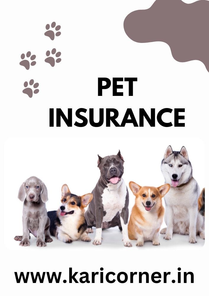 Why we need pet insurance. Pet insurance is a financial tool that… | by ...