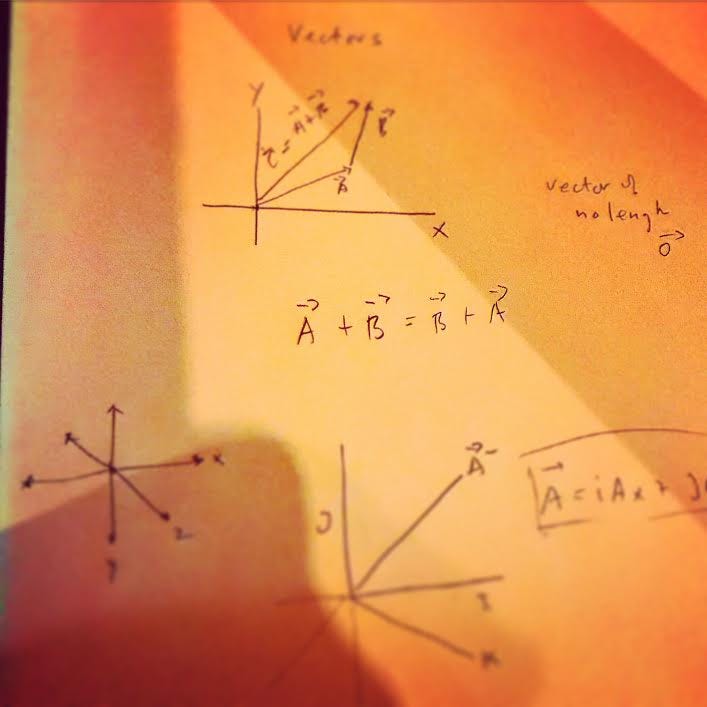 What’s the Vector, Victor? The World as Intention and Intuition | by ...