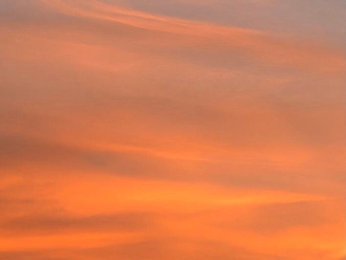 138. Jejak Buku di Sinar Senja | by apriluvaille | Nov, 2023 | Medium