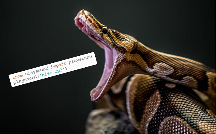 Learn Python With Me!. It’s time for another Medium article! | by ...