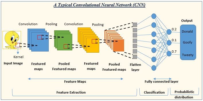Convolutional Neural Network create kia, PyTorch ki help sey | by Nick ...