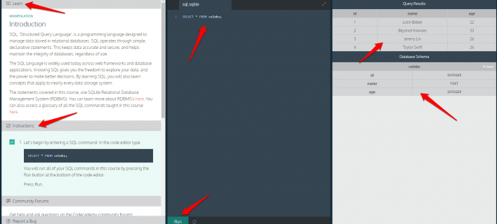 Best Ways to Learn SQL to Become Database Expert | by Damith Ruwan | Medium
