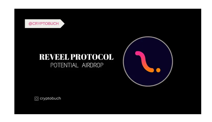 Reveel Protocol (Potential Airdrop) | by Saad | Jul, 2023 | Medium