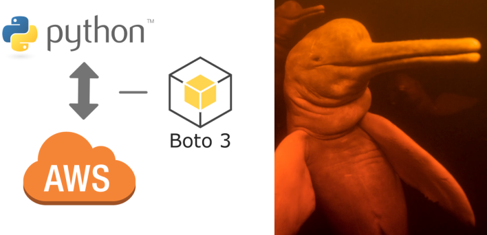 Stopping EC2 Instances Using Boto3 | by William | Medium