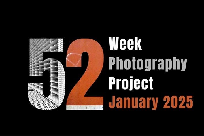52-Week Photography Project. January 2025 | by Alison Spence Montillet ...