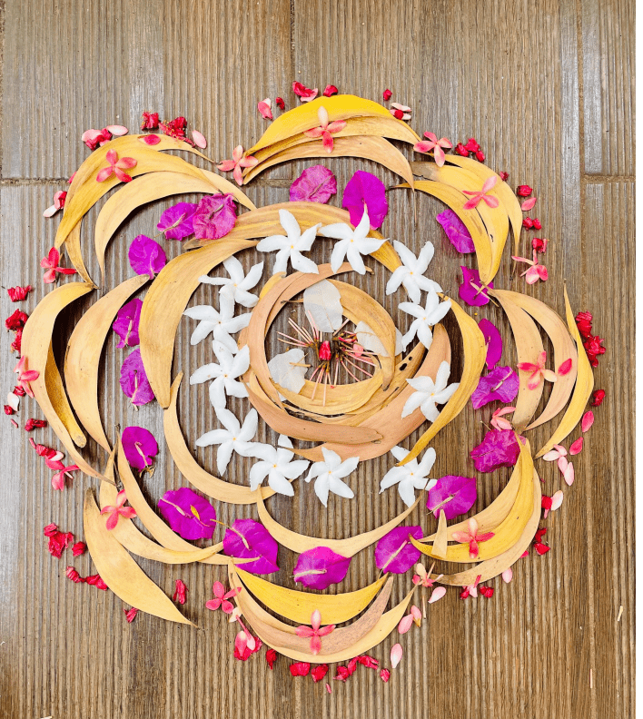 Nature Mandalas - Dm Digiavtar - Medium