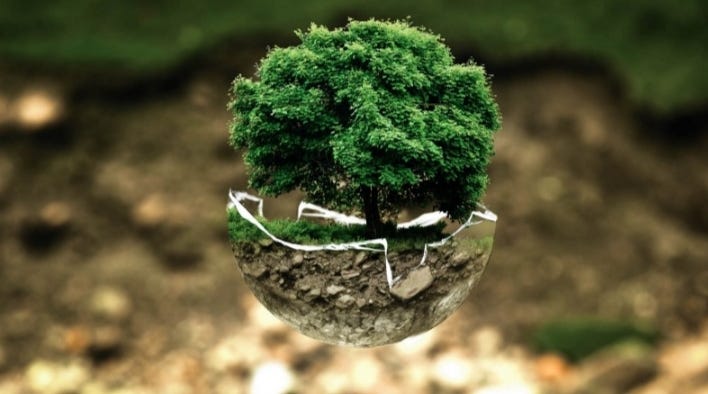 🌳Save trees 🌳 Trees are very important in our life. Trees give s us ...