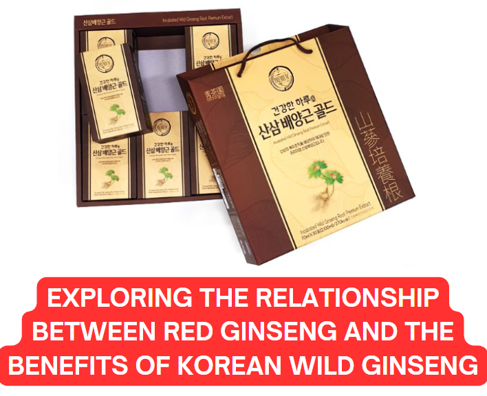 Exploring the Relationship Between Red Ginseng and the Benefits of ...