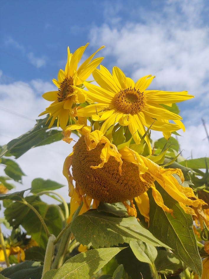 By Design: What Is the Self?. When delving into the notion of ‘self ...