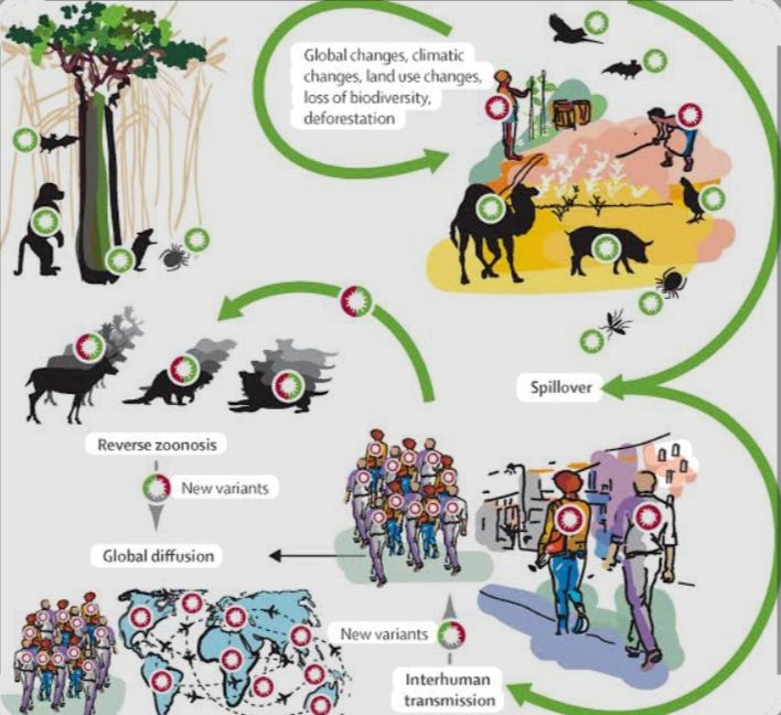 The Pandemic Problem: Humans Infect Animals, Animals Infect Humans, and ...