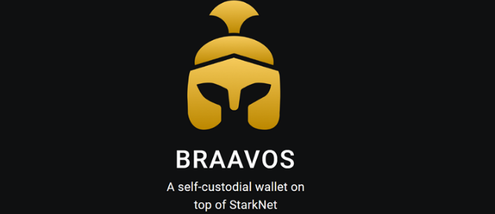 Braavos Wallet — How to use. Hi guys! Today I would like to tell you ...