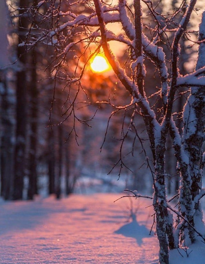 The Warmth Of Winter.. A poem. | by Isha | Mr. Plan ₿ Publication | Medium