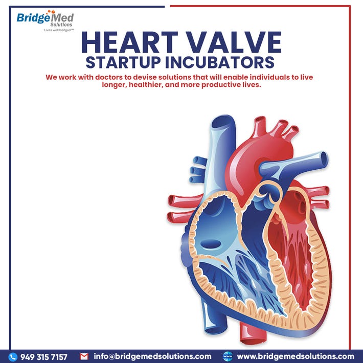 Best Technological Innovation For Heart Valve | by Bridgemed Solutions ...