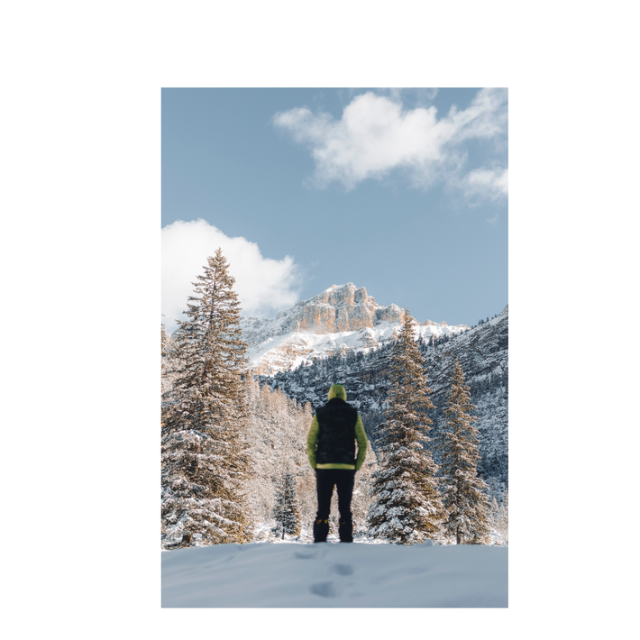 Book Summary for “The Unplugged Alpha: The No Bullsh*t Guide To Winning ...