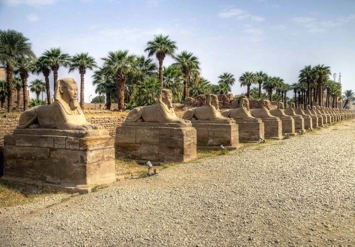 Safaga Shore Excursions. If you are seeking to discover more… | by ...