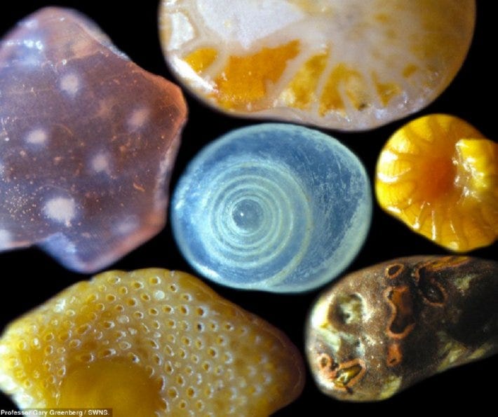 Why Nature Loves a Lie. How memetic selection favors inaccurate… | by ...
