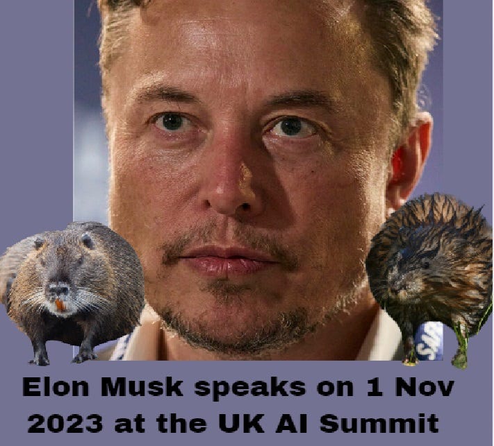 Muskrat Elon, Tweeter Don, Do the Jitter Bug Down in Muskratland | by ...