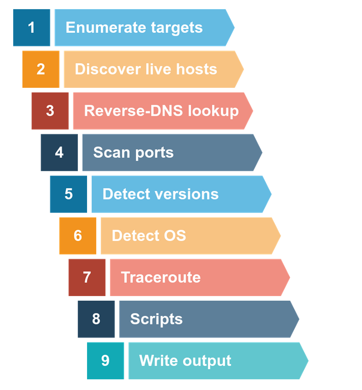 Nmap: Nmap Live Host Discovery — TryHackMe | by Timlssnss | Medium