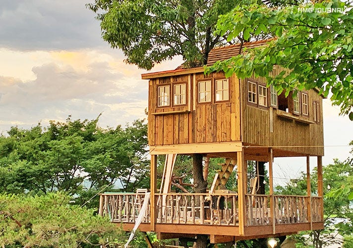 My Point of View:. Would you like to live in a tree house… | by Ruhaan ...