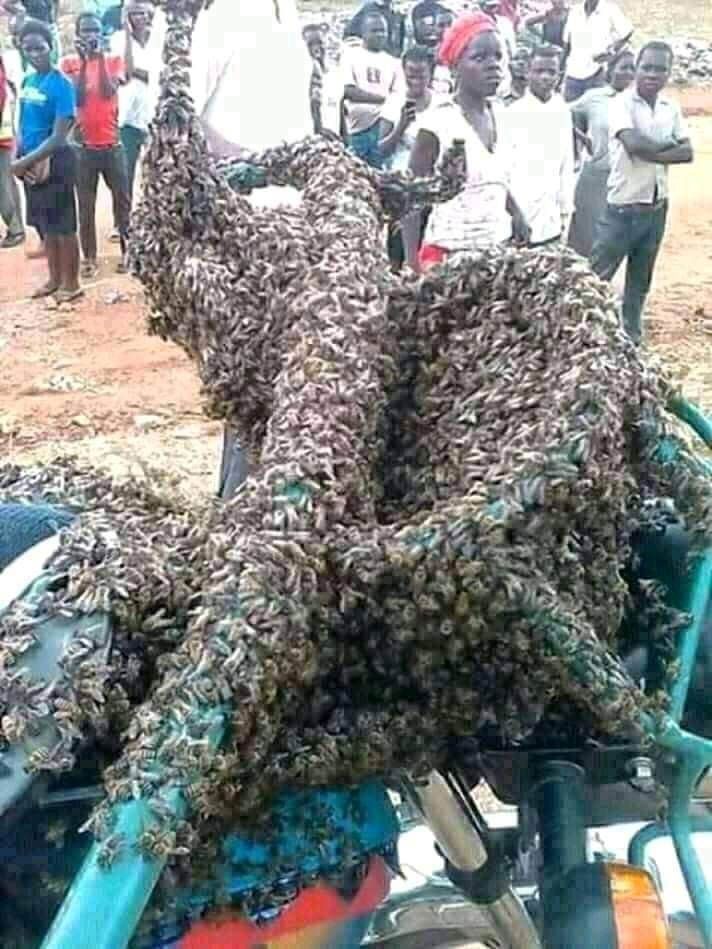 Daktar wa kienyeji kutoka Kenya/mganga wa kienyeji sheikh Twaha | by ...