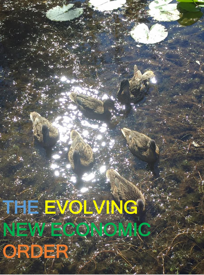 The Evolving New Economic Order. We live in a world with unequal… | by ...