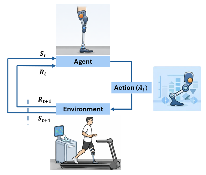 Training a Prosthetic Leg to Jog: A Hands-On PPO Tutorial | by Johanna ...