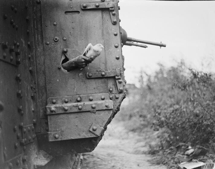 The Amazing Animals Of WW1. An amazing carrier pigeon and a baboon ...