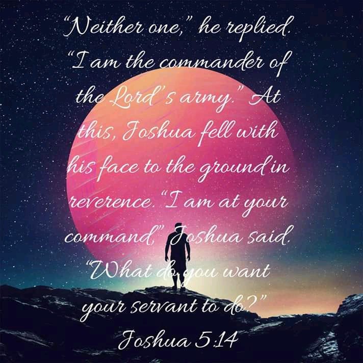 Joshua 5:14 — Following "'Neither one,' he replied. 'I am the commander ...