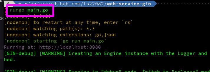 How I got “Hot reloading” to work with Golang and nodemon (UNIX) | by Thomas W. Li-Smith | Medium