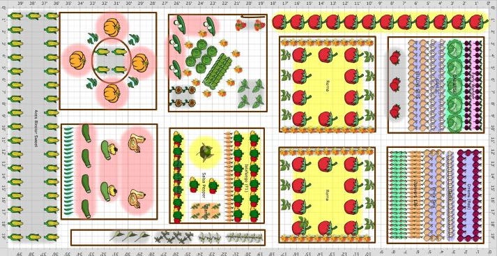 How to Lay Out Plants in a Garden: Expert Tips - Garden