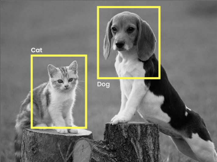 Exploring the Role of Synthetic Data in Improving Object Detection ...
