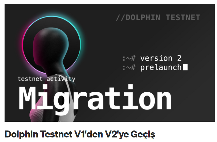 Dolphin Testnet V1'in V2'ye Geçiş | by Natalia | Manta Network | Medium