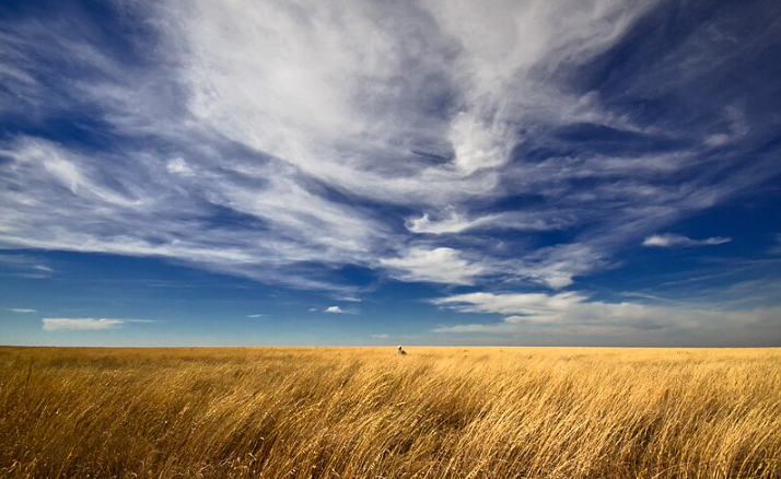 West Kansas: Another 51st State That Never Was. | by Grady Bolding ...